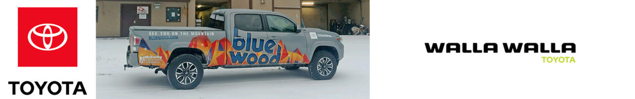 Conditions | Bluewood