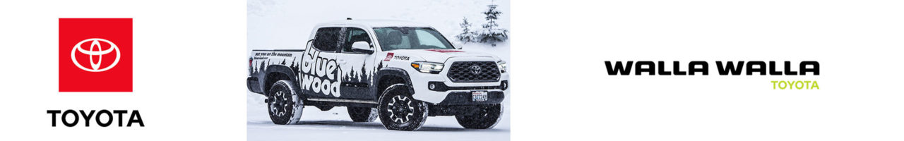 Conditions - Bluewood