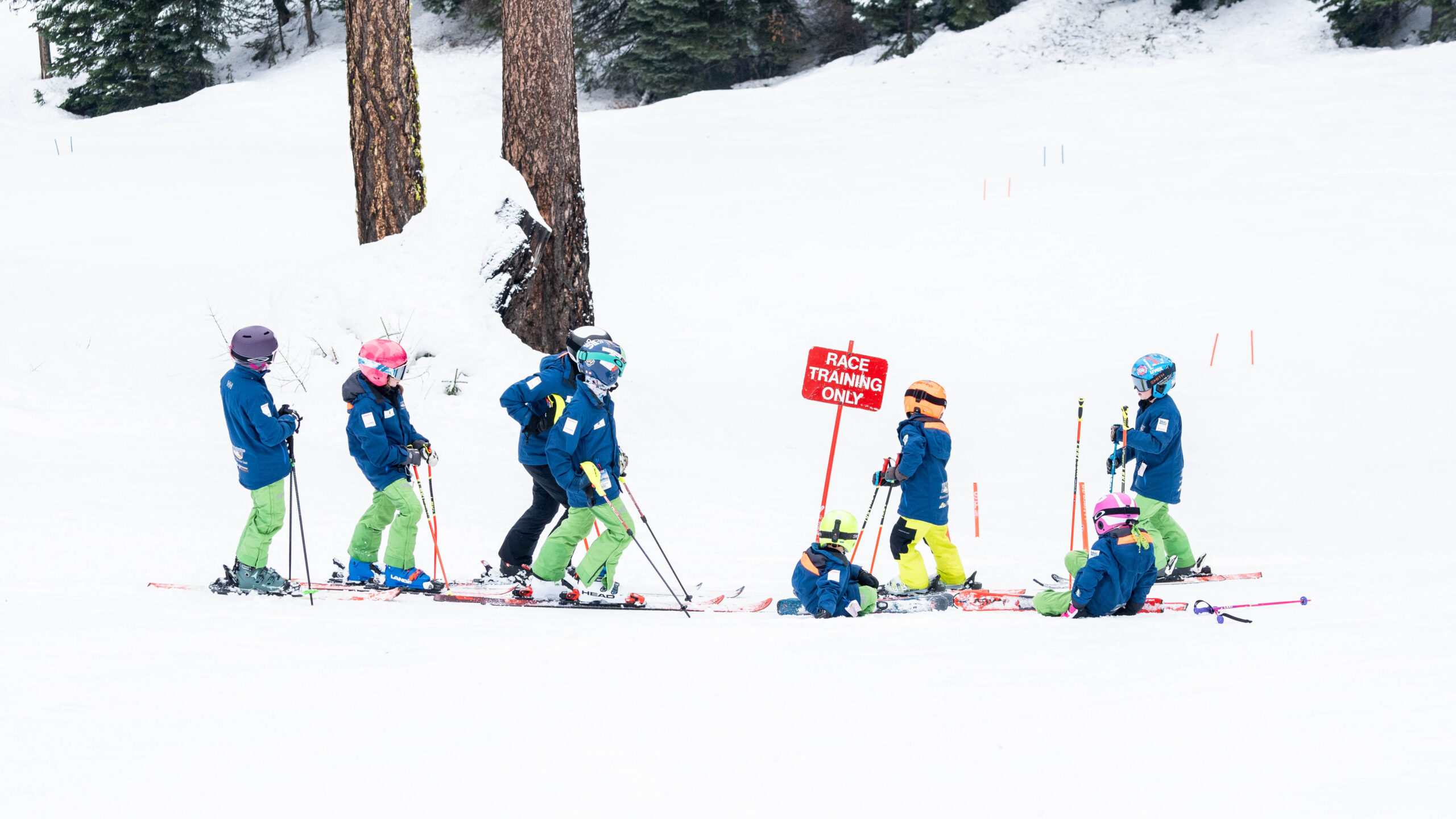 Teams and Programs - Bluewood