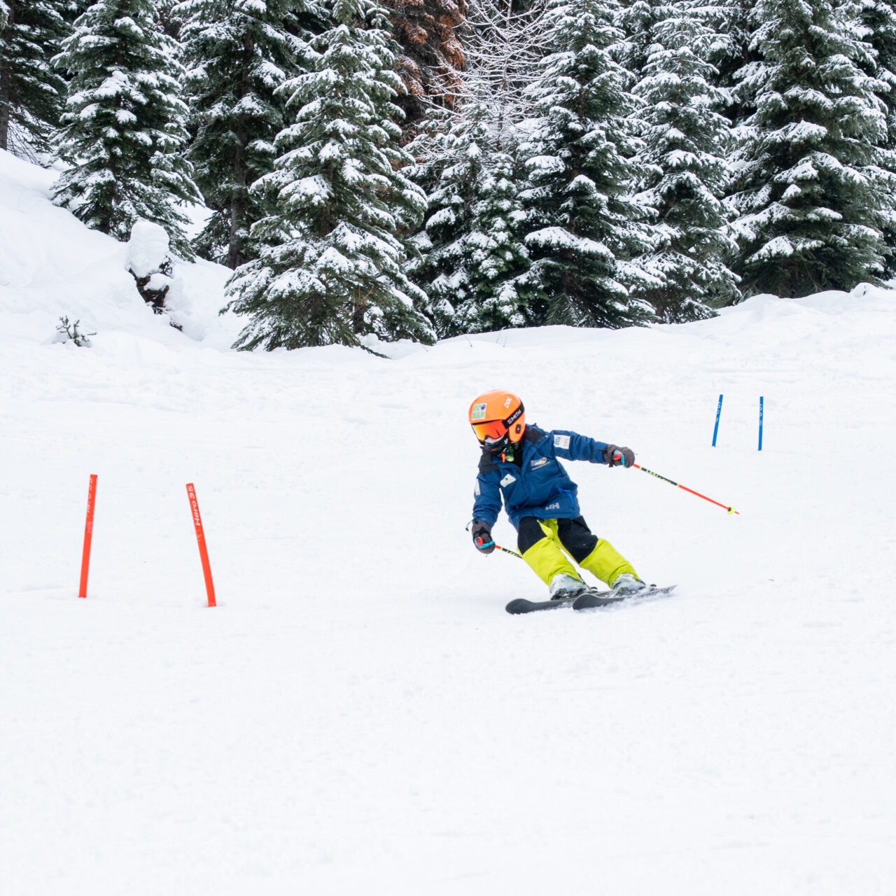 Bluewood Ski and Snowboard Team - Bluewood